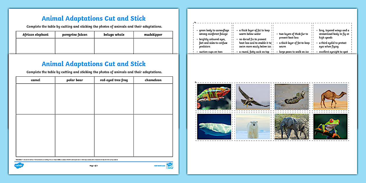 Animal Adaptations Cut and Stick Matching Activity - Twinkl