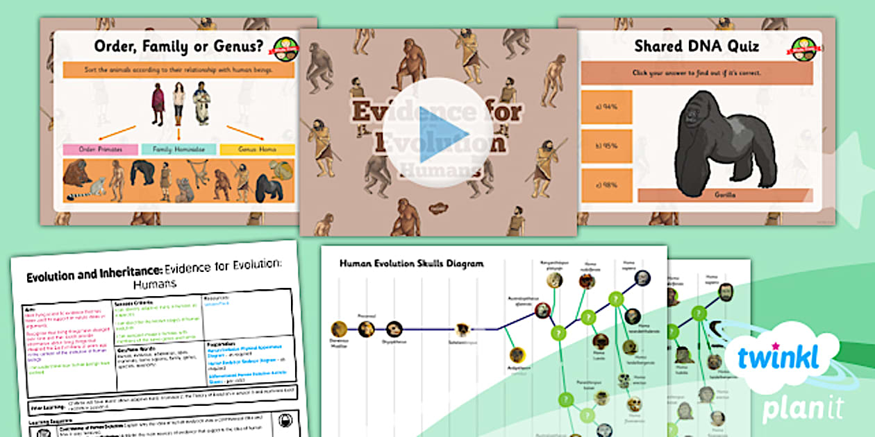 Science: Evolution and Inheritance: Evidence for Evolution Humans Year 6
