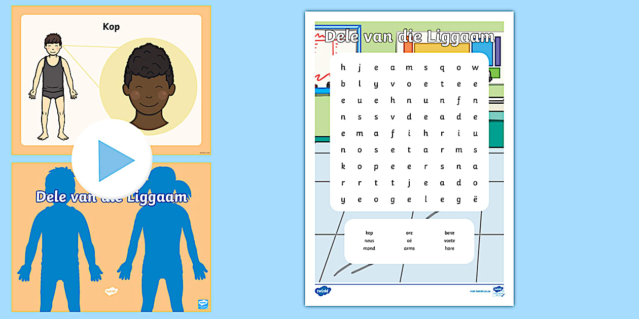 Dele van die Liggaam Powerpoint Aktiwiteit Pakket - Twinkl