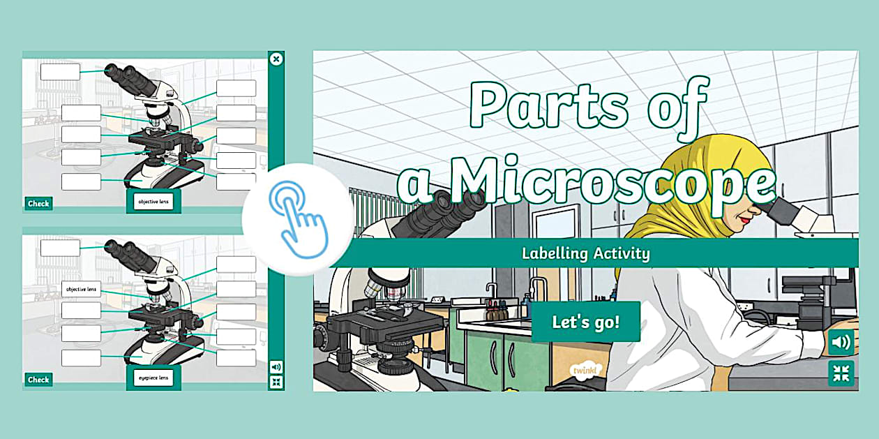 Parts of a Microscope Labelling Activity (teacher made)