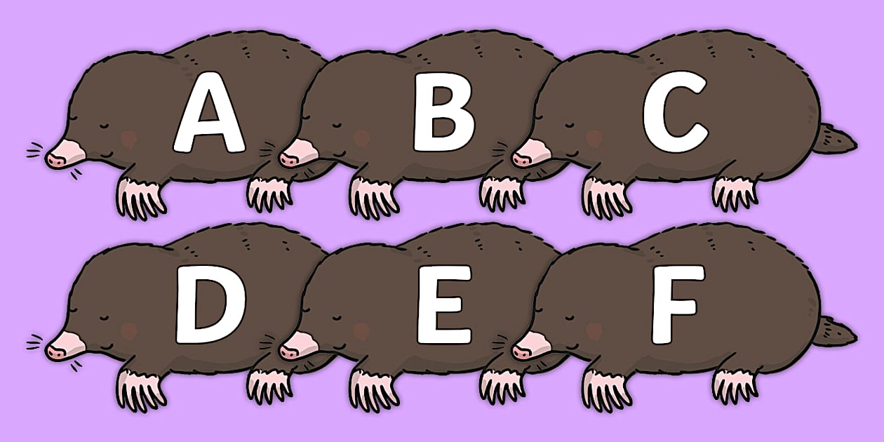 Editable A-Z Alphabet on Moles (teacher made) - Twinkl