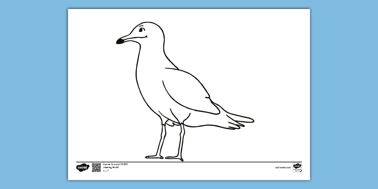 Seagull Seaside Colouring Sheet | Colouring Sheets - Twinkl