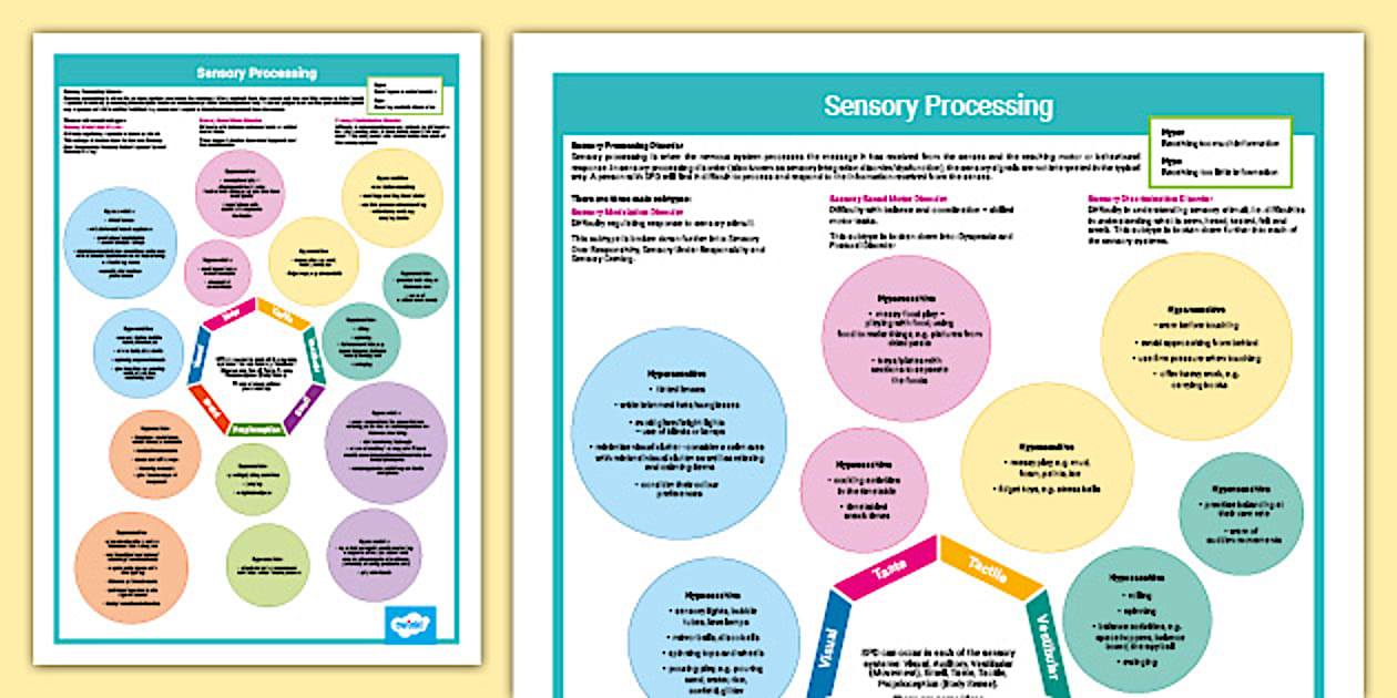 Sensory Processing Disorder Mind Map | SEND (teacher made)