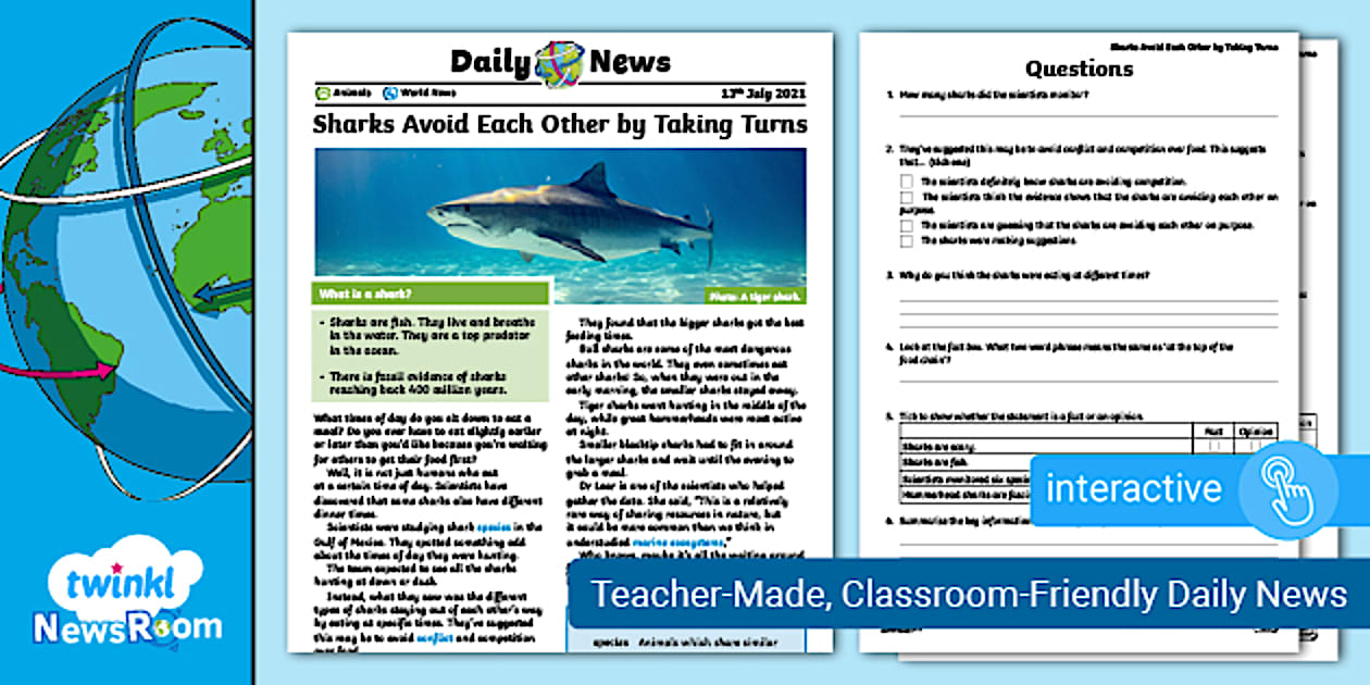 Shark Attacks | Twinkl Resources (teacher made) - Twinkl