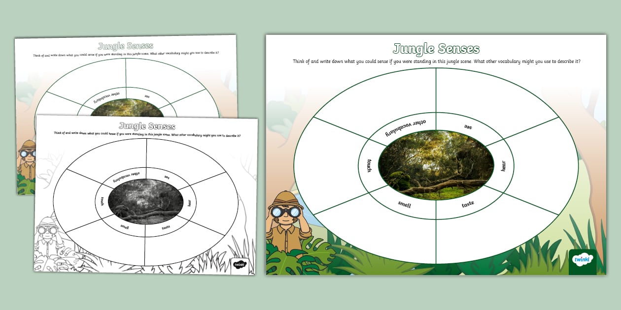Jungle Senses Around the Table - Twinkl English - Twinkl