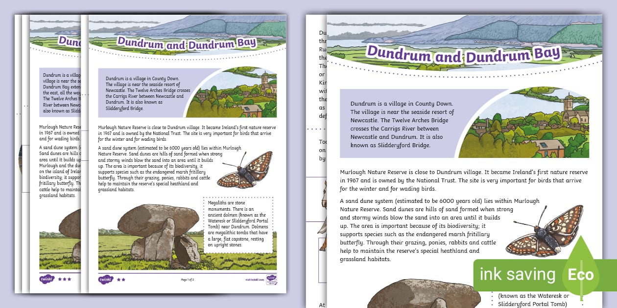 Dundrum Dundrum Bay Differentiated Comprehension Activity