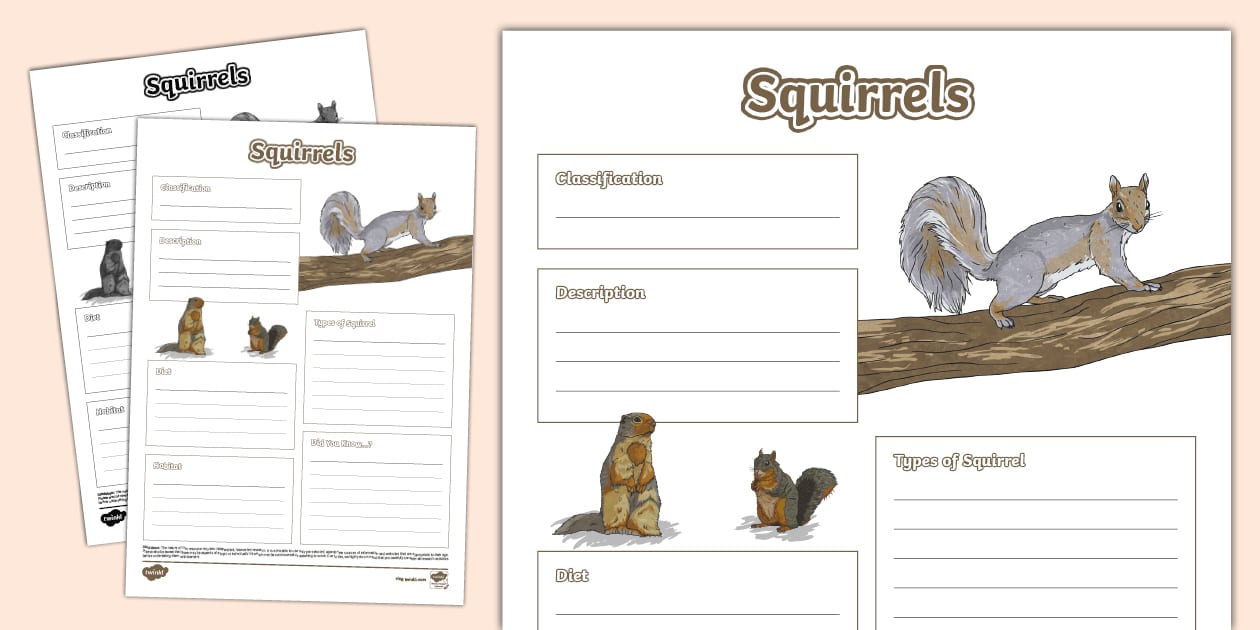 Squirrels KS2 Fact File Template (teacher made) - Twinkl