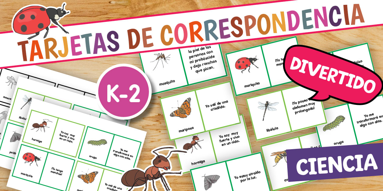 Insects in Spanish | ¿Qué Insecto Soy? | Twinkl USA