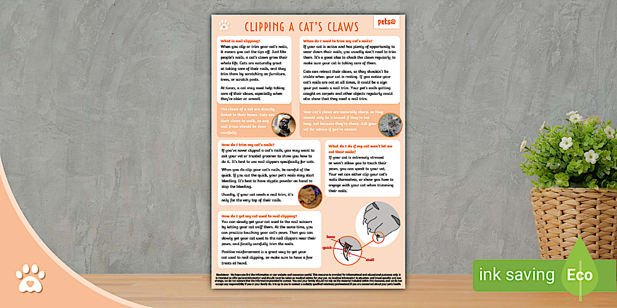 Clipping a Cat's Nails - Information Sheet - Twinkl Pets
