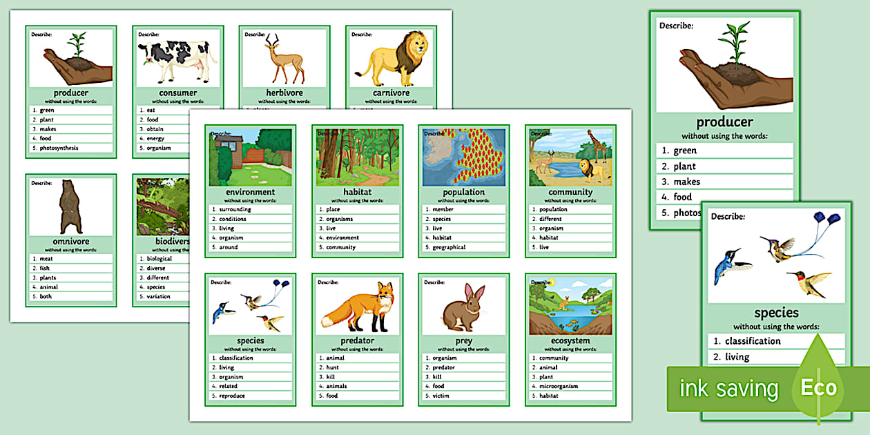 Relationships in an Ecosystem Can You Guess? Cards - Twinkl