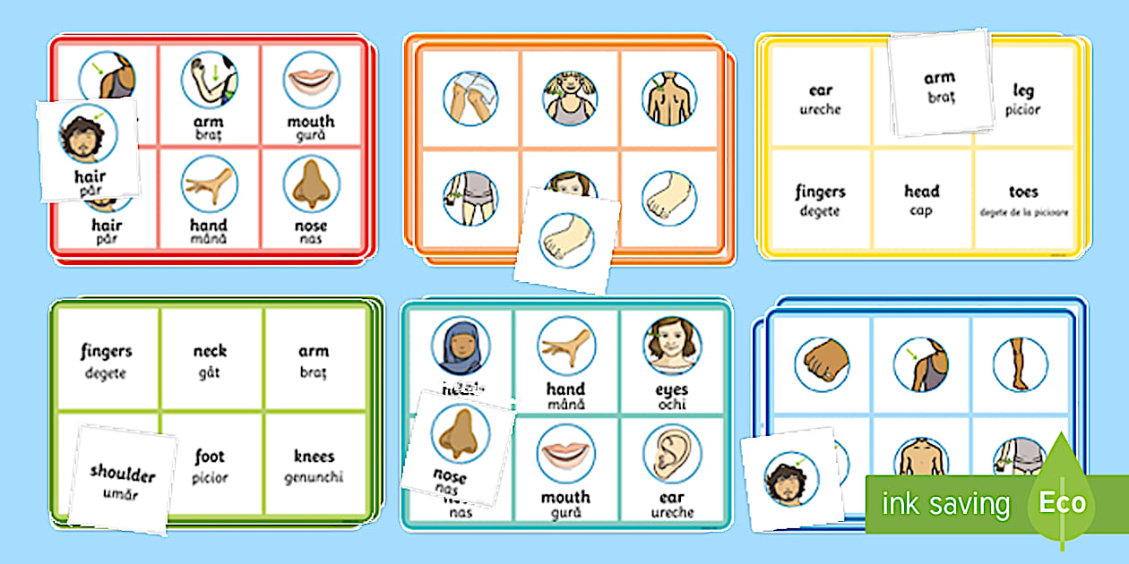 Body Bingo English/Romanian - Body Bingo (teacher made)