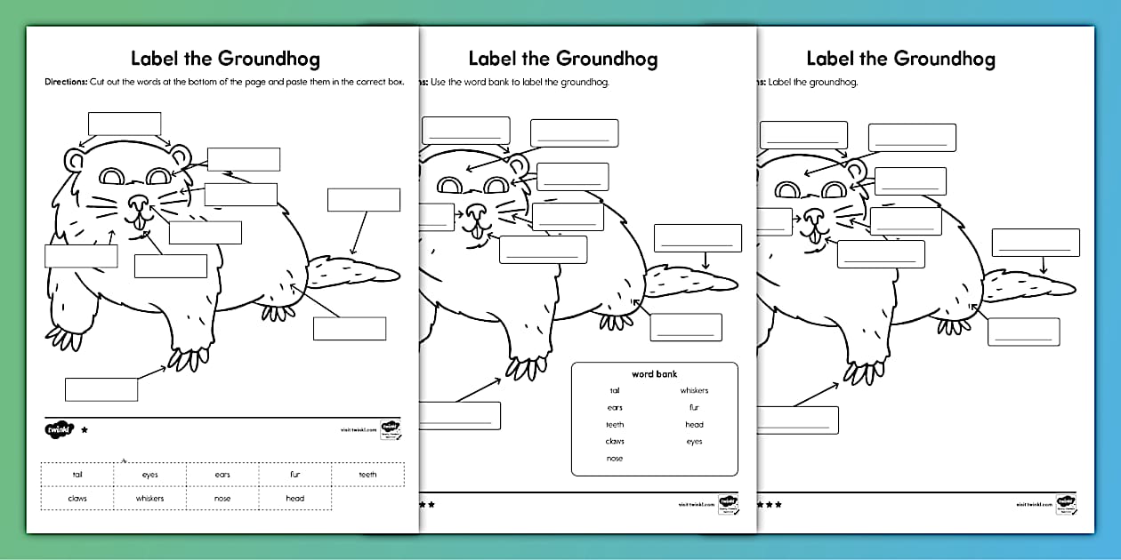 Label the Groundhog Worksheets | Groundhog Day | Twinkl