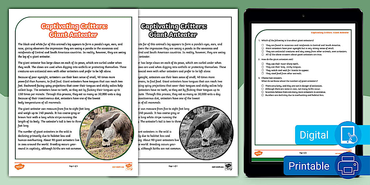 Eighth Grade Captivating Critters Giant Anteater Comprehension