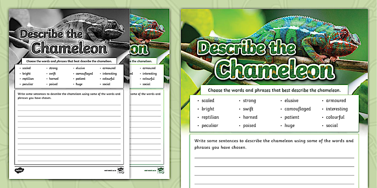 Describe the Chameleon Worksheet (teacher made) - Twinkl