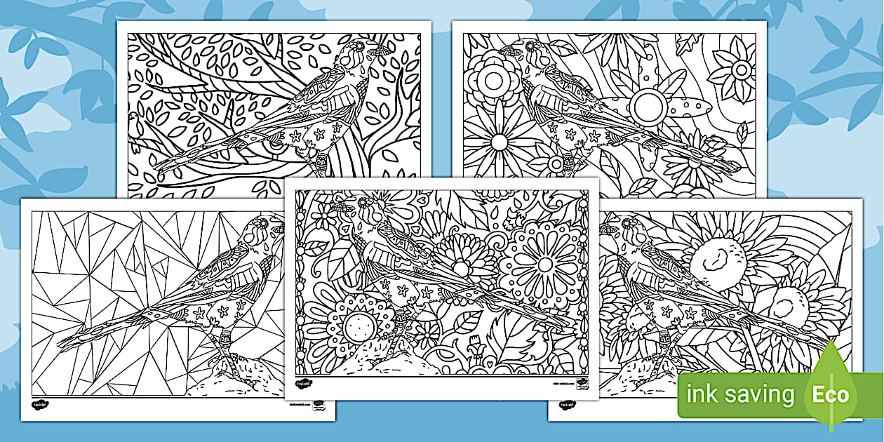 Magpie Mindfulness Colouring Activity (teacher made)