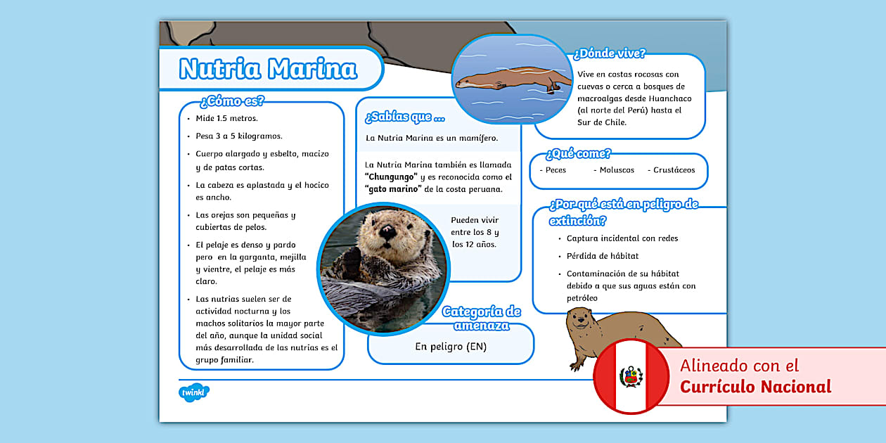 Texto informativo: Nutria marina (teacher made) - Twinkl Texto informativo: Nutria marina (teacher made) - Twinkl