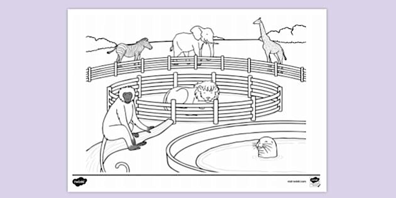 Zoo Colouring Sheet | Colouring Sheets (teacher made)