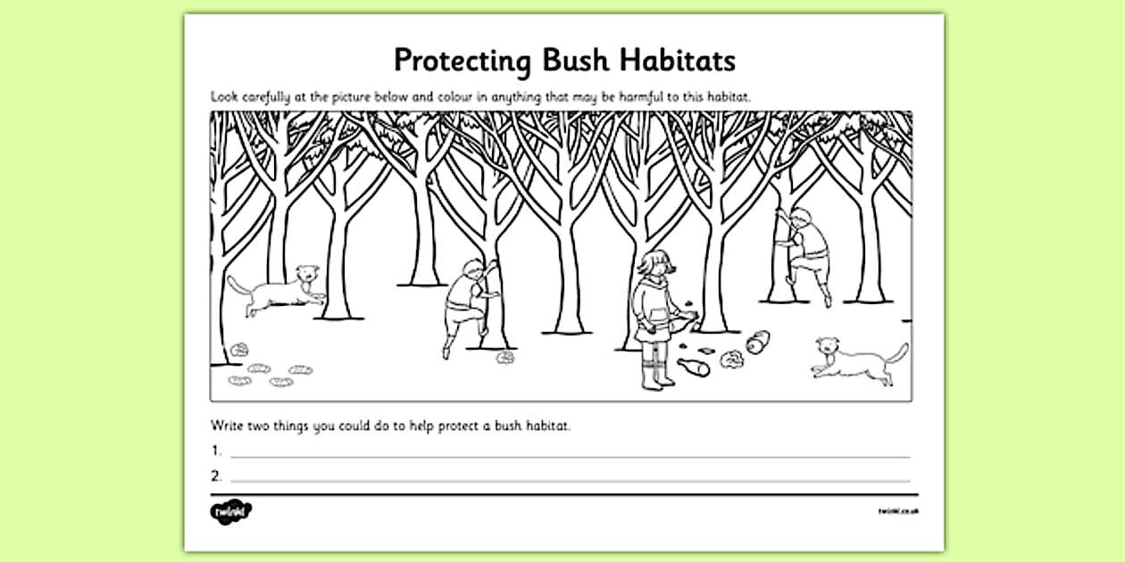Protecting Bush Habitats Colouring Activity (teacher made)