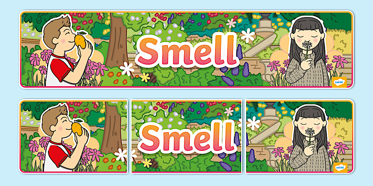 Smell Display Banner (teacher made) - Twinkl