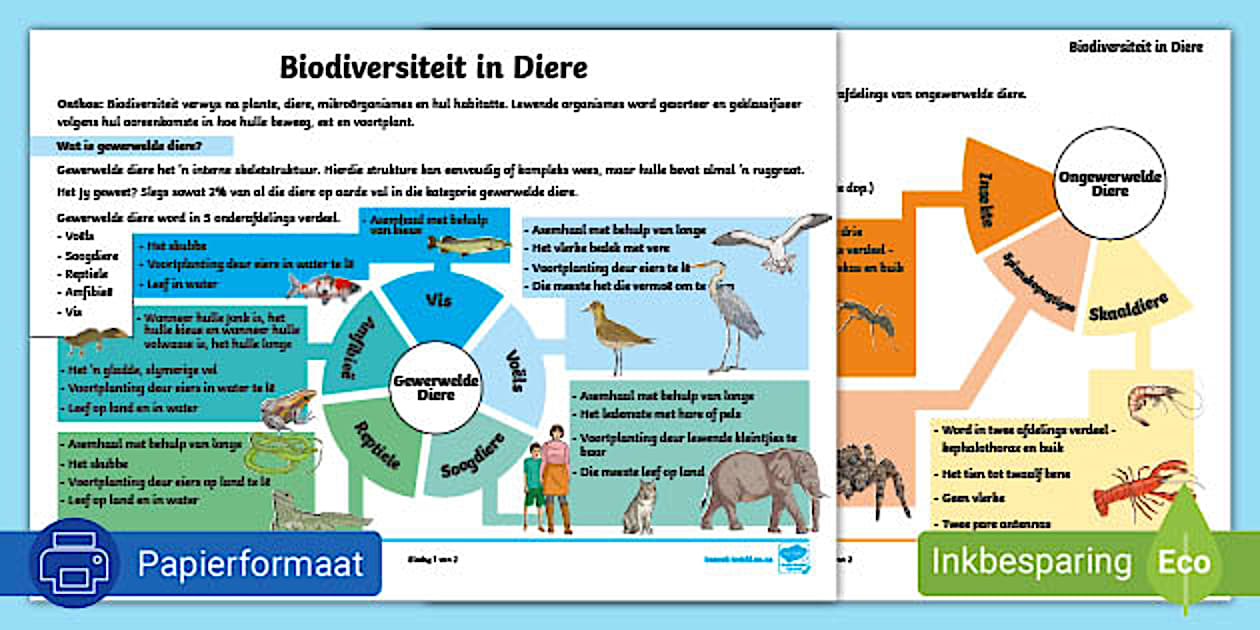 Biodiversiteit in Diere Notas (teacher made) - Twinkl