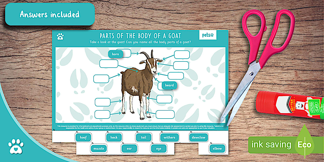 Parts of the Body of a Goat - Labelling Activity - Pets
