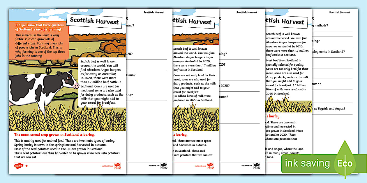 Lower Ability Harvest Differentiated Reading Comprehension Activity