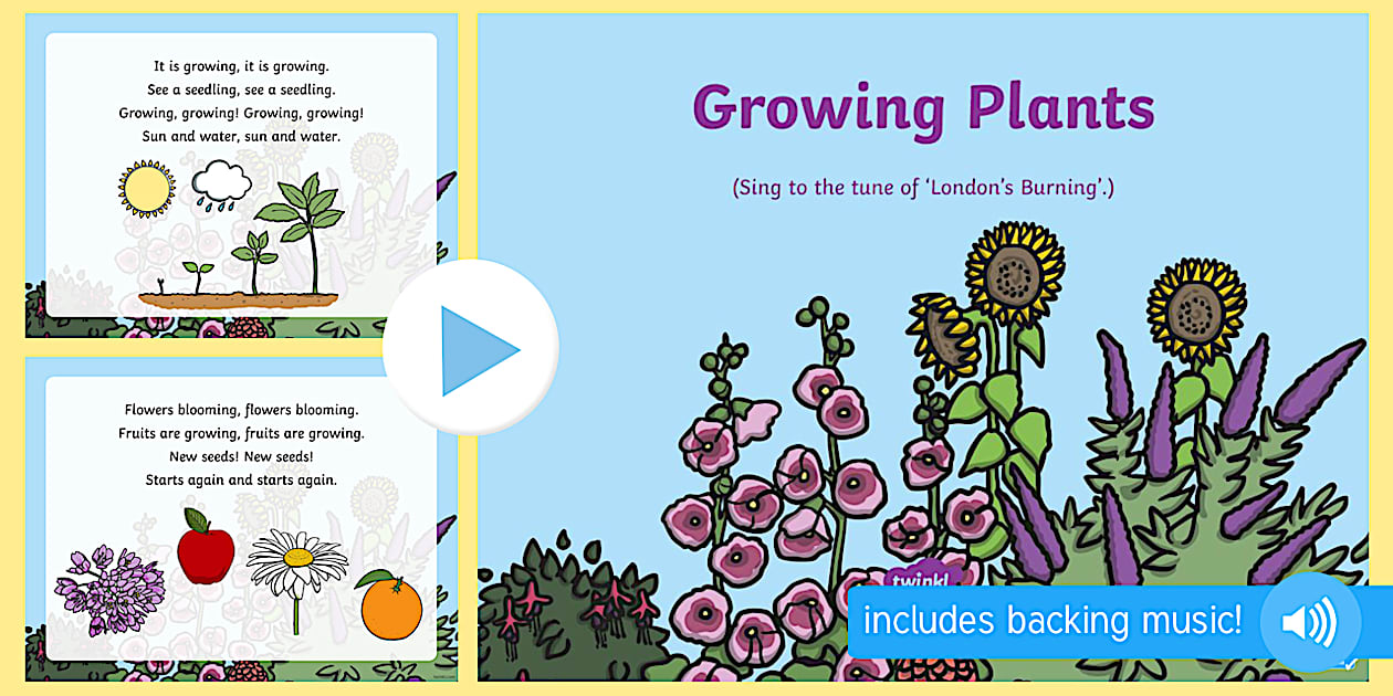 Growing Plants Song PowerPoint (teacher made) - Twinkl
