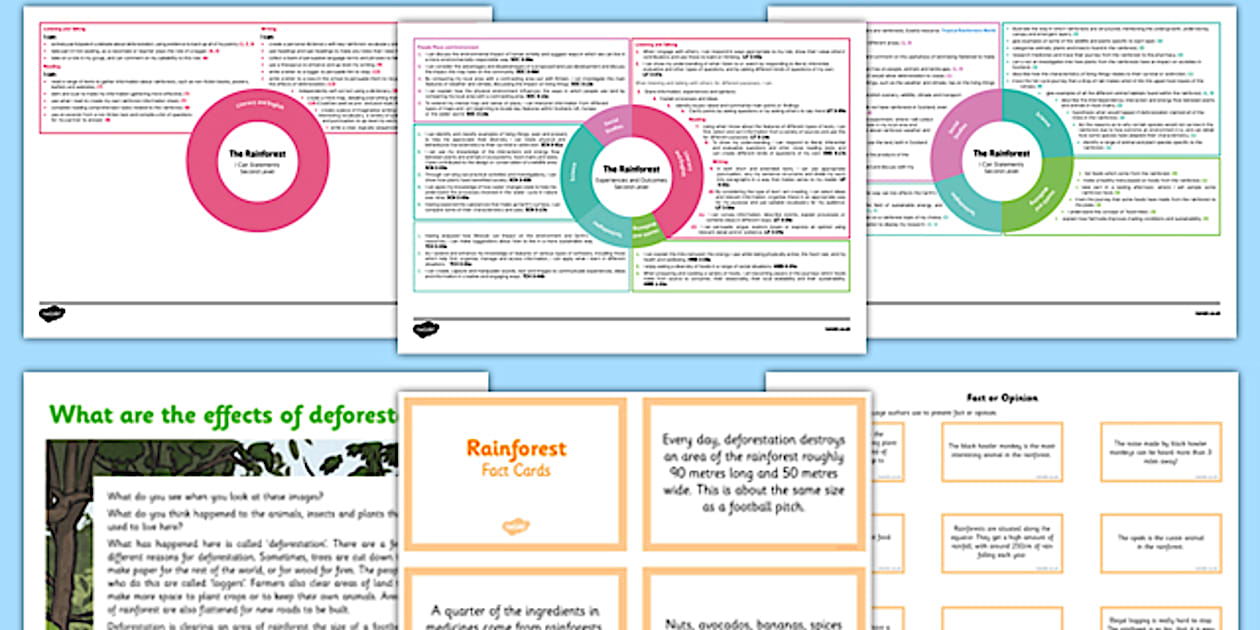 Editable Rainforest Resource Pack (teacher made) - Twinkl