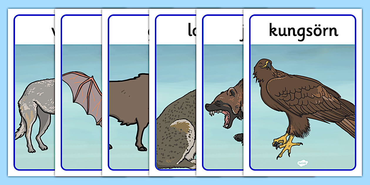Swedish Animals Display Posters (teacher made) - Twinkl