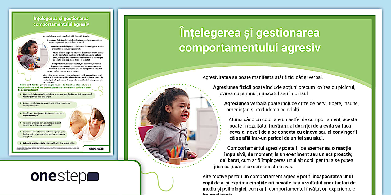 Înțelegerea și gestionarea comportamentului agresiv – Planșă