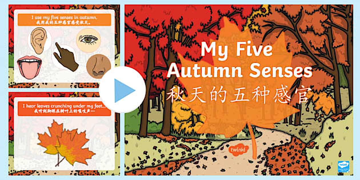 My Five Autumn Senses PowerPoint - English/Mandarin Chinese