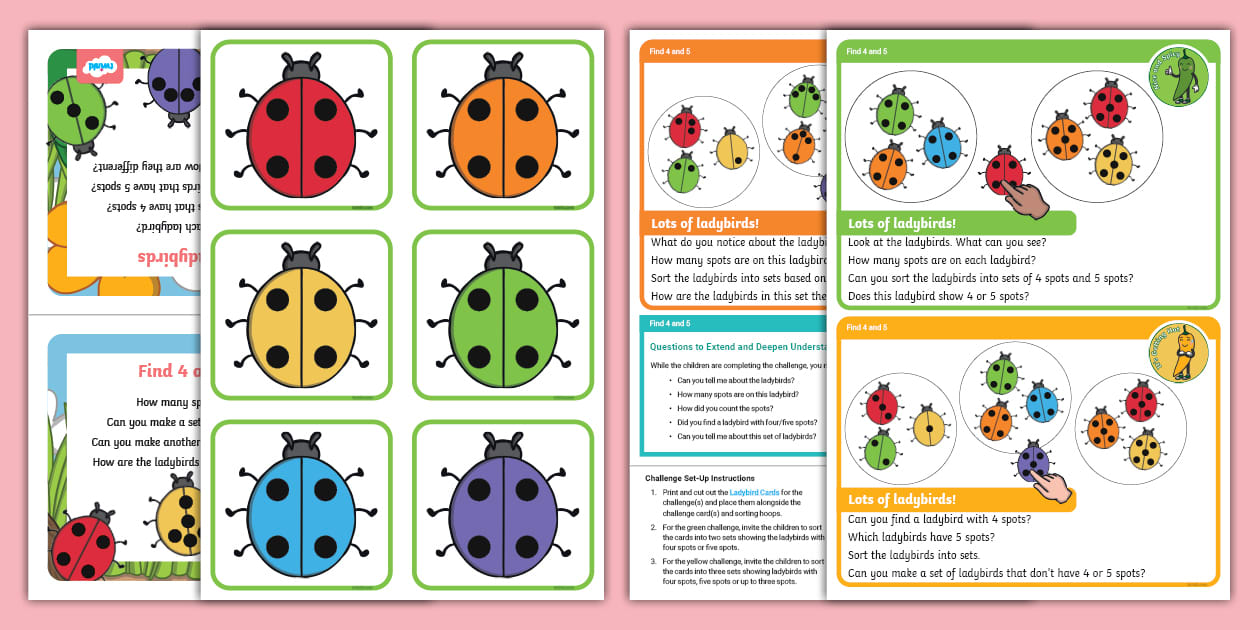 👉 Find 4 and 5 Chilli Challenges: Ladybird Sorting | Twinkl
