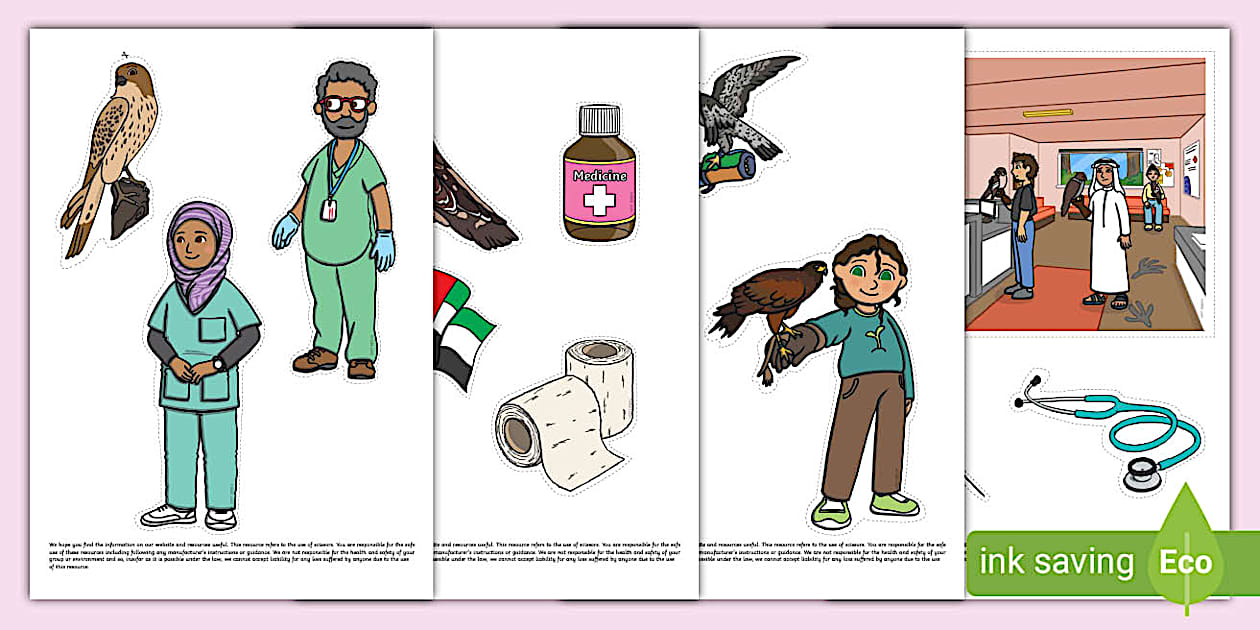 Falcon Hospital Role Play Falcon Cut Outs (teacher made)