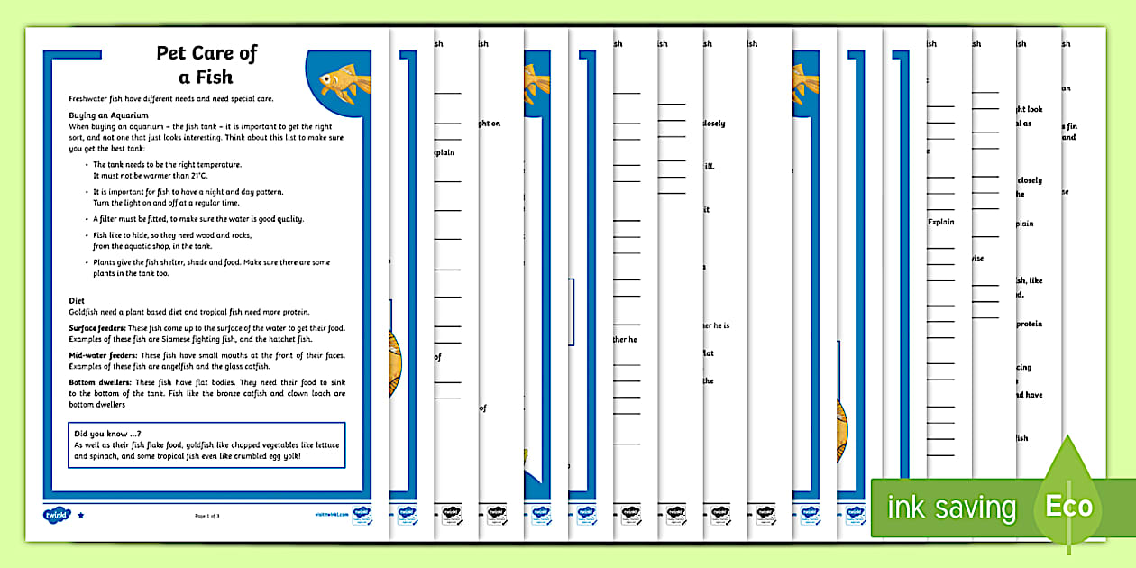KS2 Pet Care of Fish Differentiated Reading Comprehension Activity