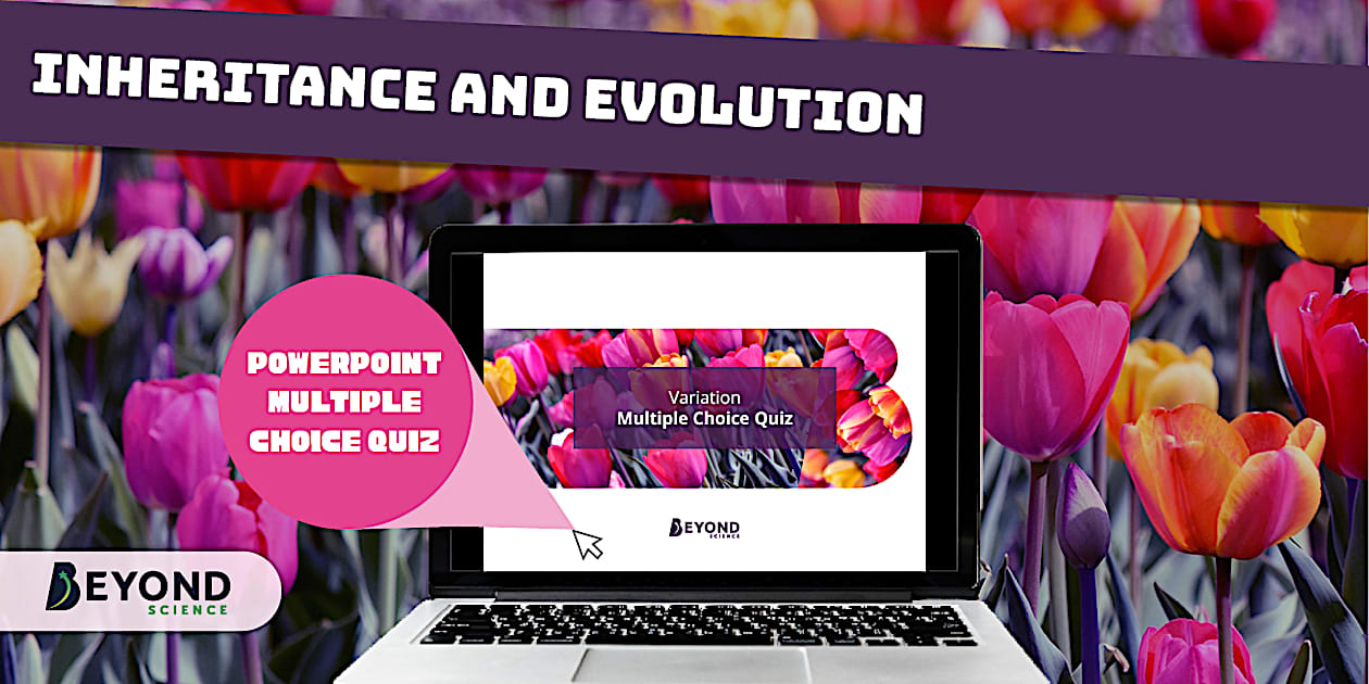 Variation Quiz PowerPoint
