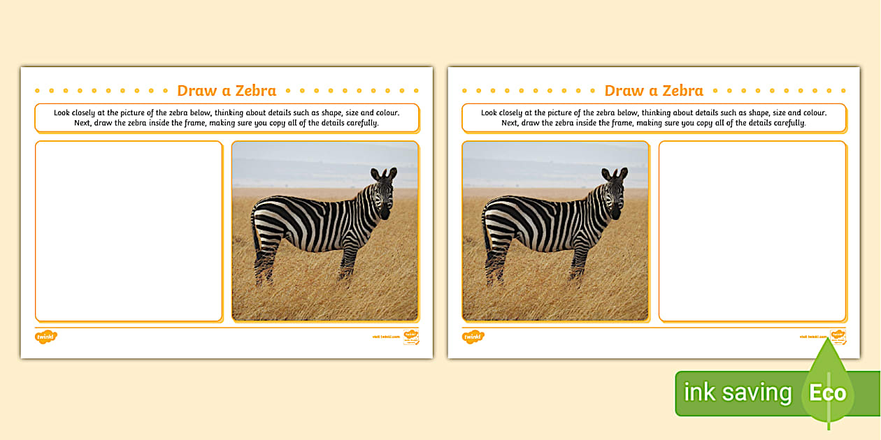 Draw a Zebra Art Activity,zebra (Teacher-Made) - Twinkl