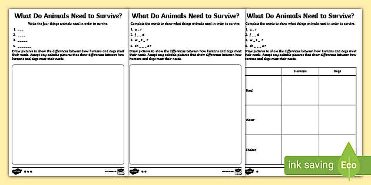 Editable KS1 What Do Animals Need to Survive? Differentiated Worksheets