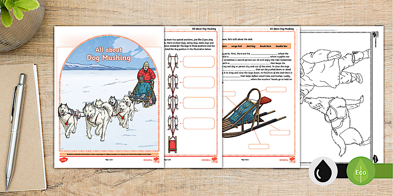All about Dog Mushing Research Project (Teacher-Made)