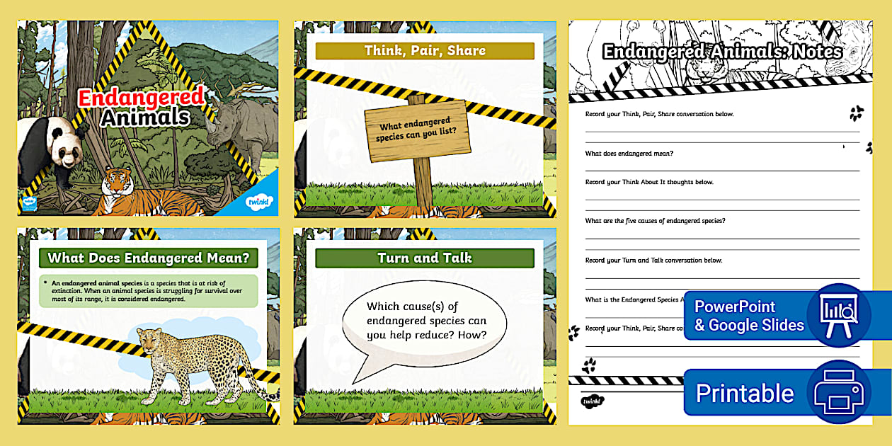 Endangered Animals PowerPoint & Google Slides - Twinkl