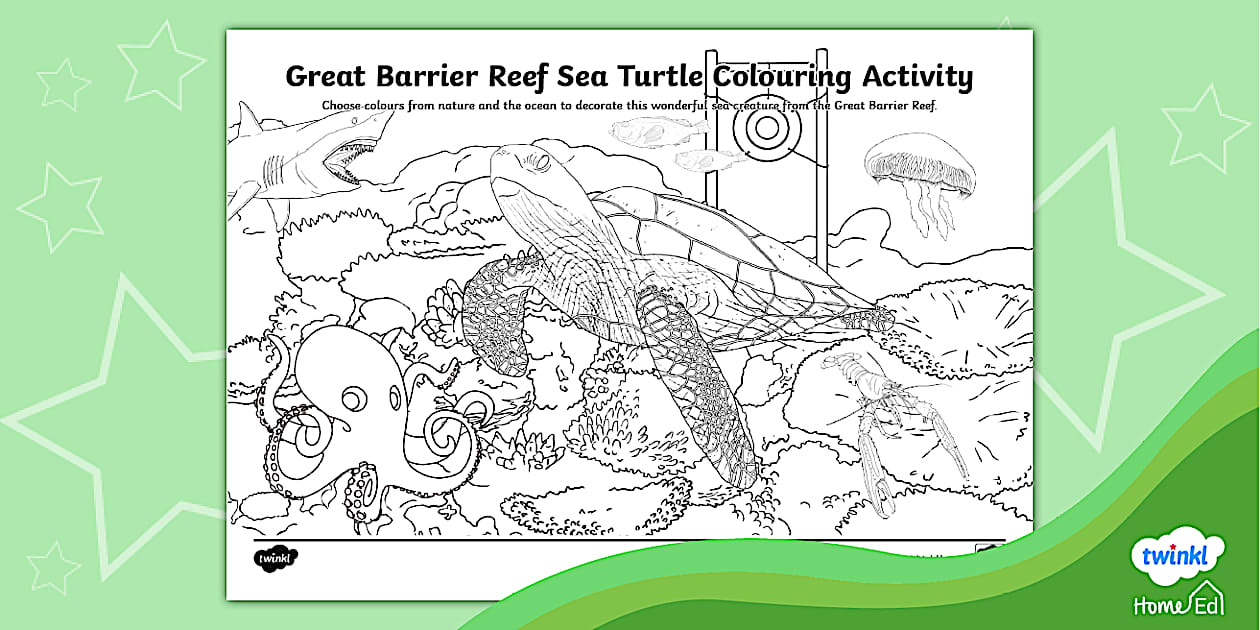 Great Barrier Reef Sea Turtle Colouring Activity - Twinkl