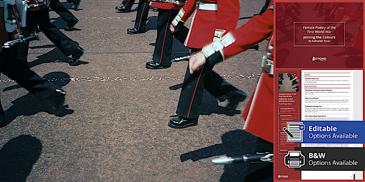 Joining the Colours Poem Lesson Pack | GCSE Poetry | Beyond