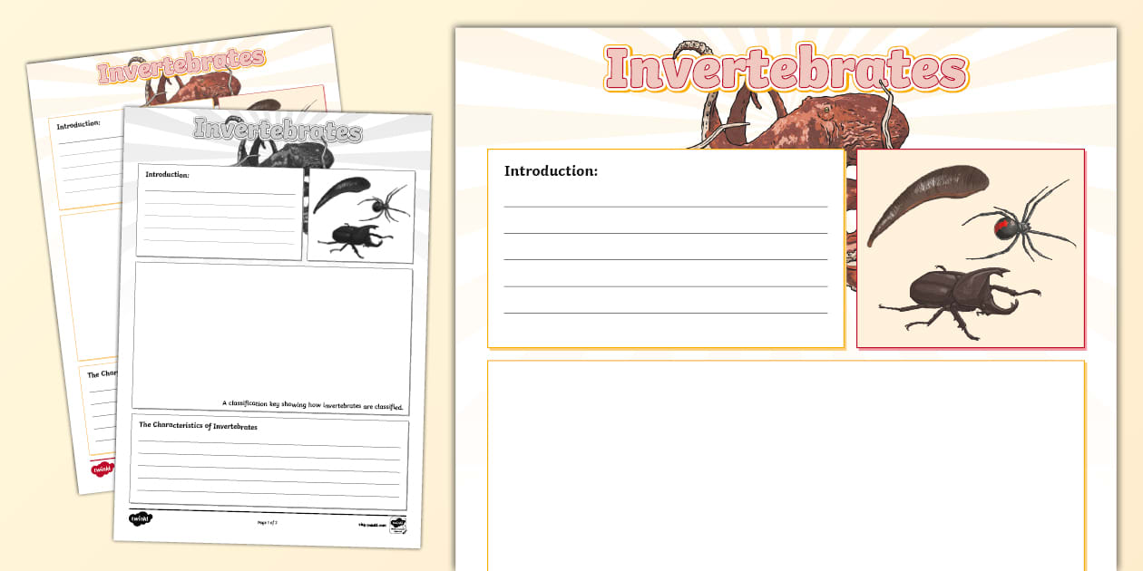 Identifying Invertebrates Non-Chronological Report Template