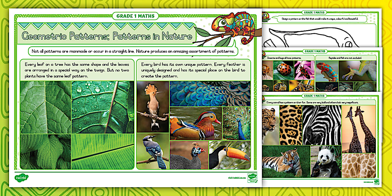 Maths - Geometric Patterns - Worksheet: Patterns in Nature
