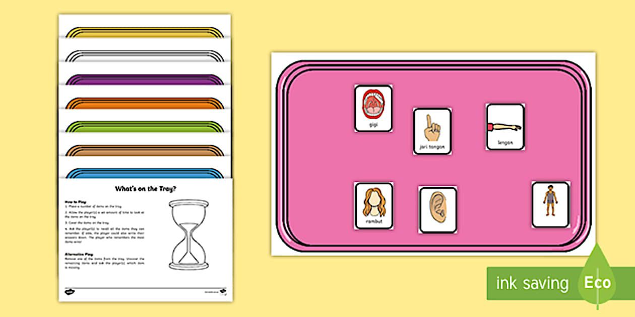 My Body: What's on the Tray Memory Game (teacher made)