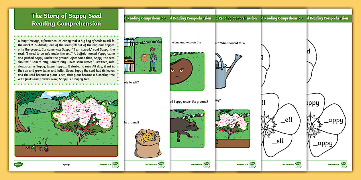 The Story of Sappy Seed Reading Comprehension (teacher made)