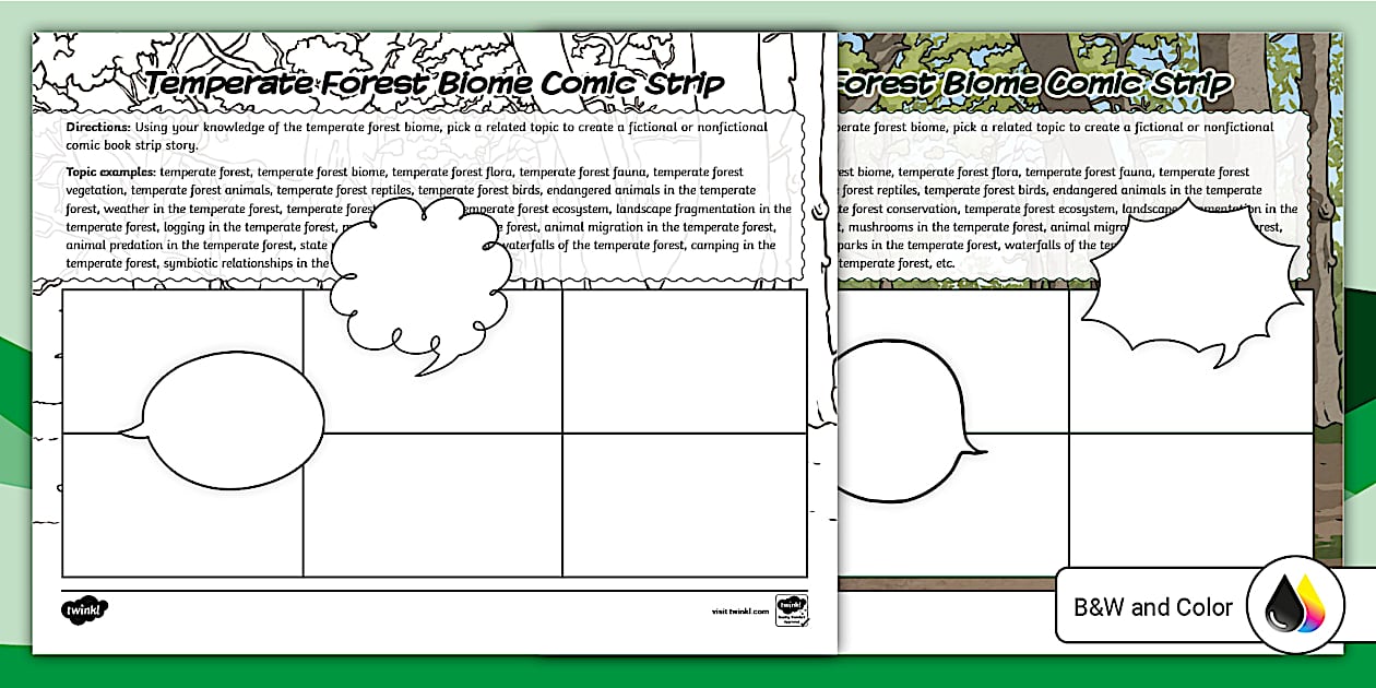 Temperate Forest Biome Comic Strip Worksheet for 6th-8th Grade