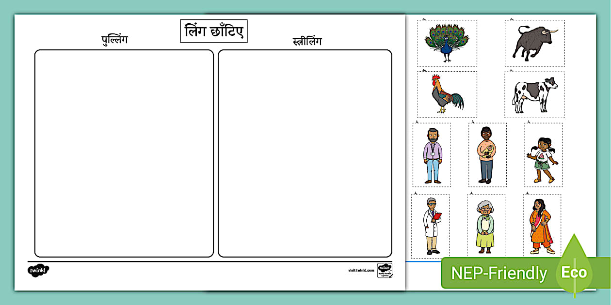 लिंग (Ling)Gender in Hindi Sorting Activity - Twinkl