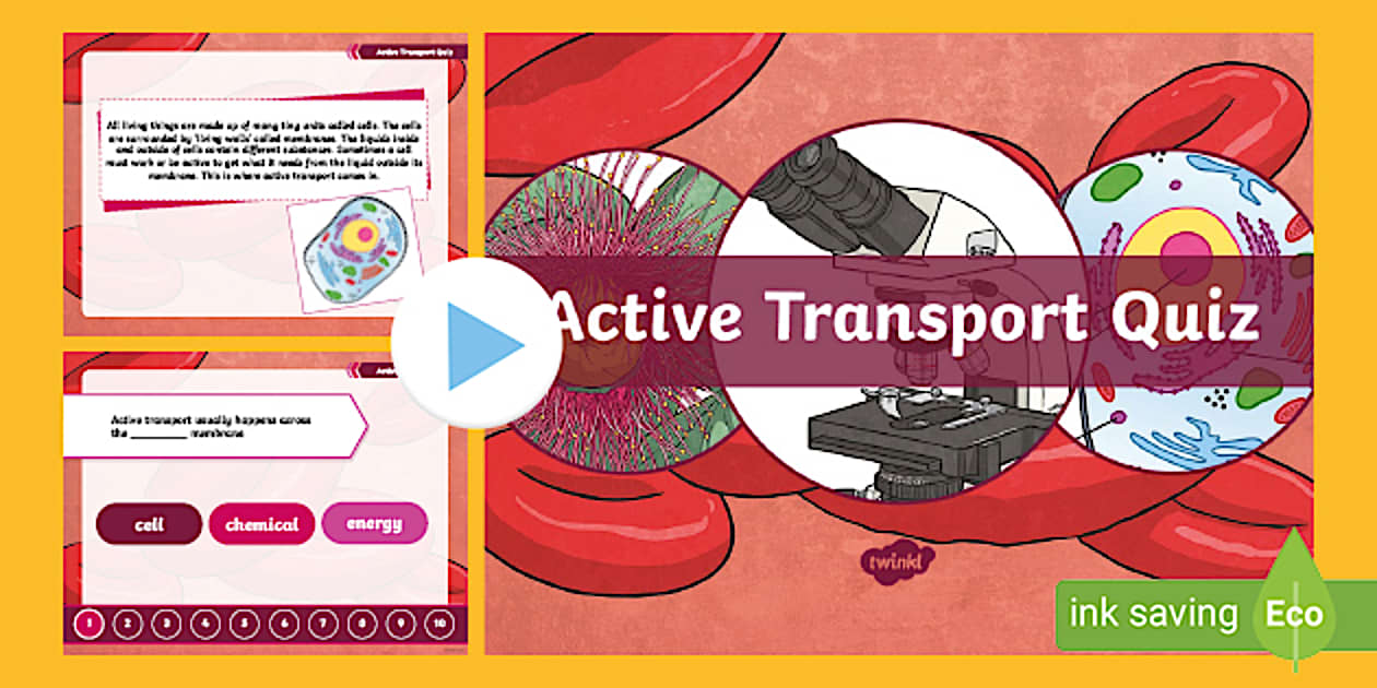 Active Transport PowerPoint Quiz (teacher made) - Twinkl