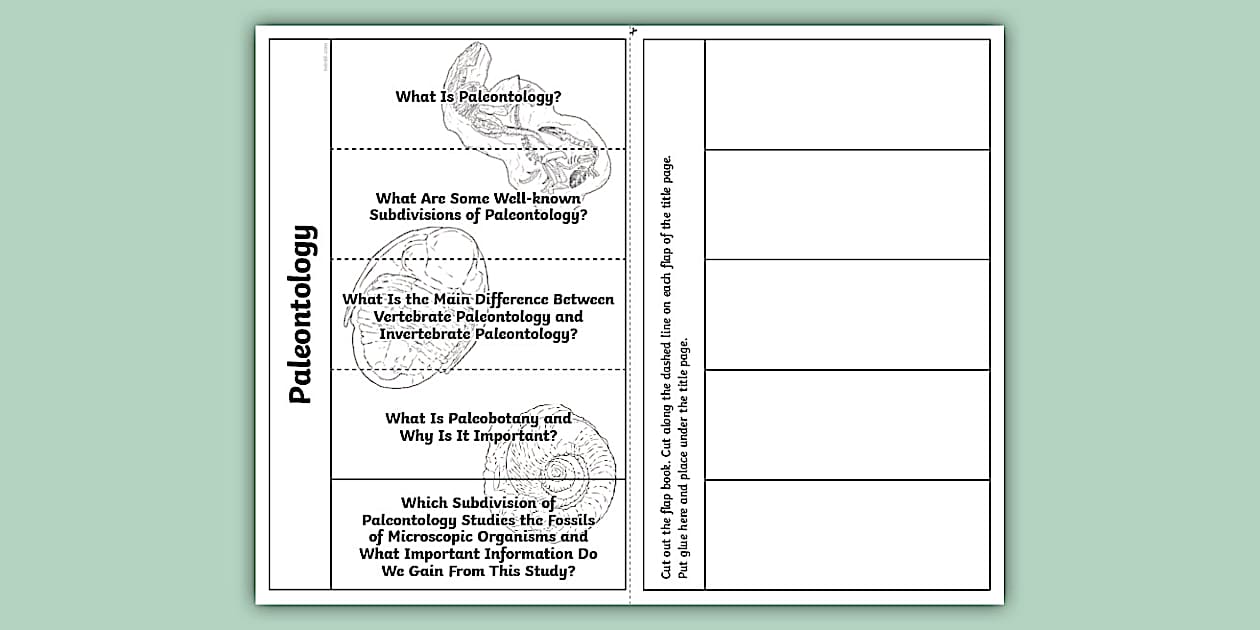 Paleontology Flap Book | Science Resource | Twinkl USA