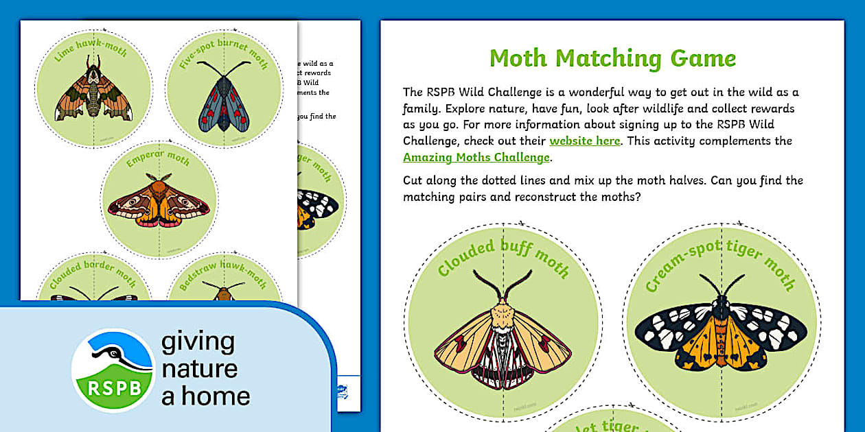 FREE! - Moth Matching Game (Ages 5 - 7) - Twinkl